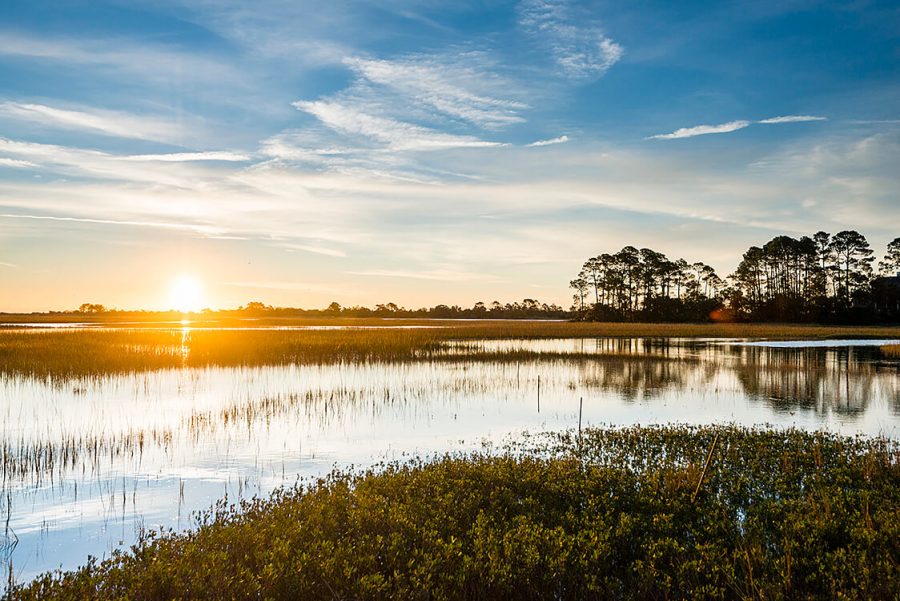 Neighborhood Spotlight: The Estuary | Kiawah Island Real Estate
