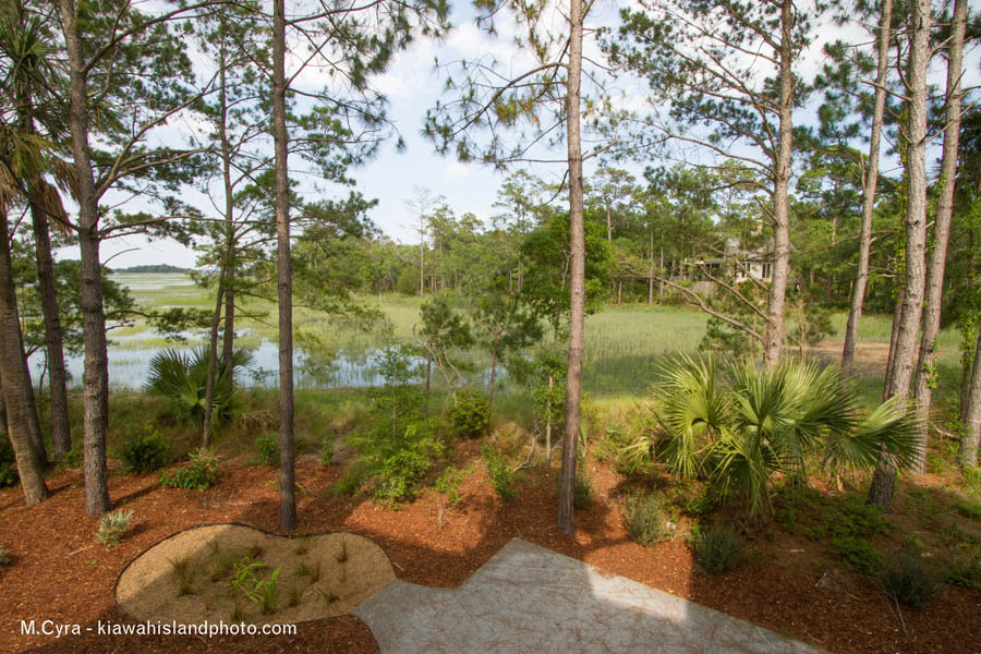 Indigo Park | Kiawah Island Real Estate
